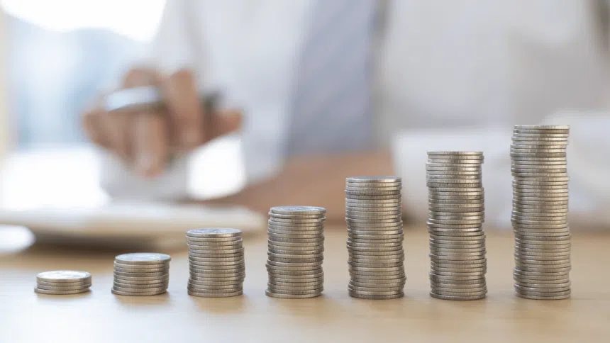 Government Job Grades And Salary Levels In South Africa 2025 | NASI ISPANI