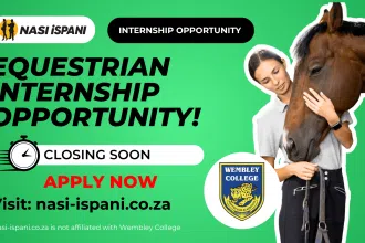 Internships | NASI ISPANI